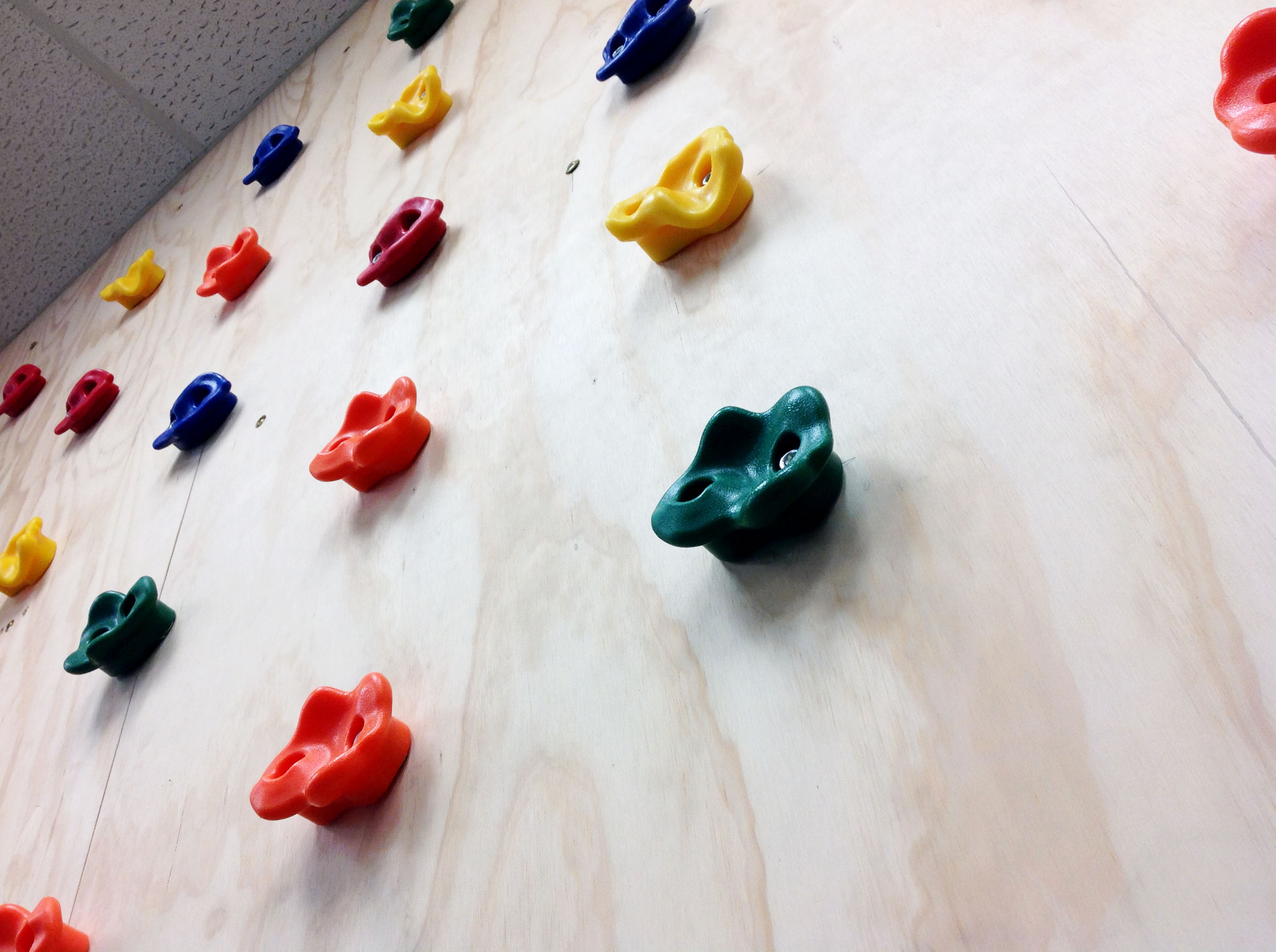 Gallery – CCS Pediatric Therapy & Family Wellness